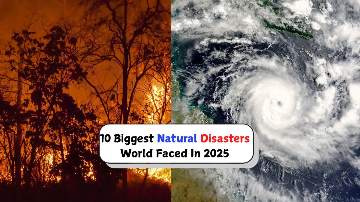 10 Biggest Natural Disasters World Faced In 2025: California's Wildfire ...