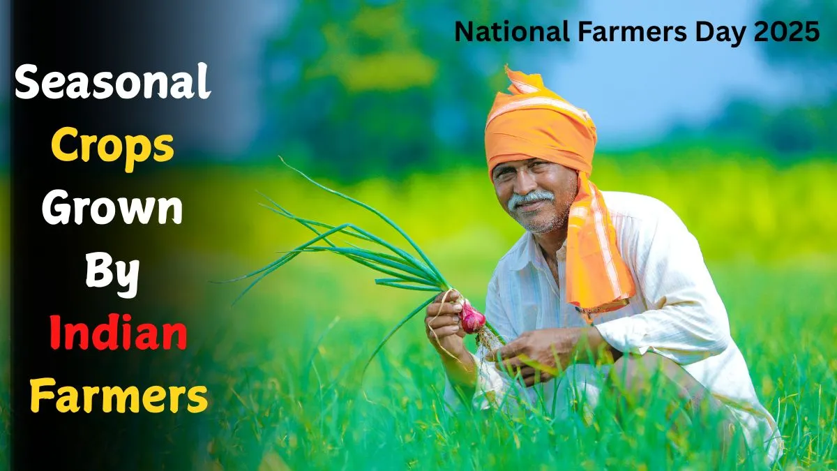 National Farmers Day 2025: Seasonal Crops Grown By Indian Farmers And ...