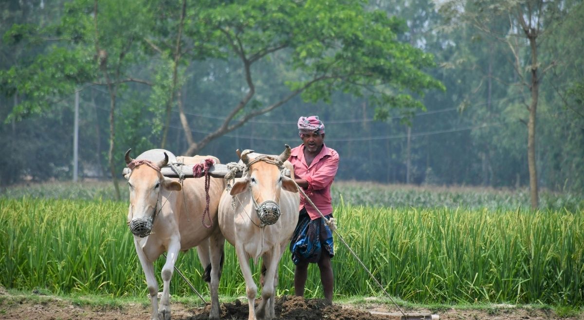 Happy Farmers' Day 2025: 50+ Heartfelt Quotes And Messages To Honour ...