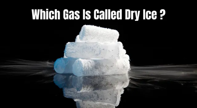 Which Gas Is Called Dry Ice And Why? Know The Science Behind This ...