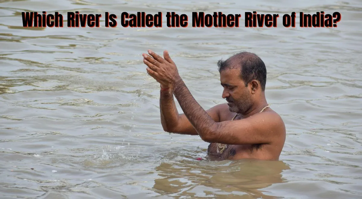Which River Is Known As The Mother River In India? Know Significance, Origin And History
