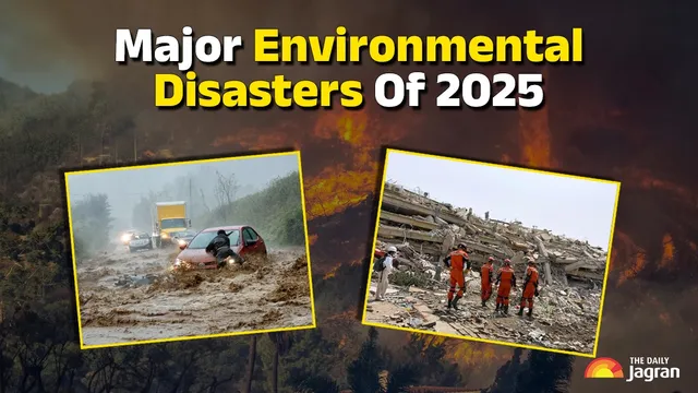 Year Ender 2025: From Heatwaves, Punjab Floods To Cyclone Ditwah; 5 ...