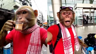 Riddle Alert: What Can Travel Around The World While Staying In Corner ...