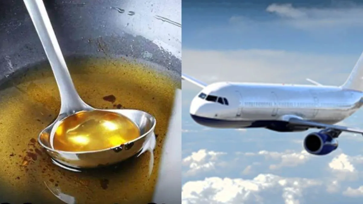 Used Cooking Oil To Fuel Airplanes? Govt Begins First Sustainable ...
