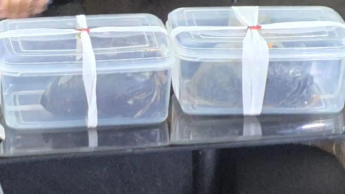 Ranchi Crime: Man Arrested With 3.75 Kg Opium In Lower Bazar; Caught ...