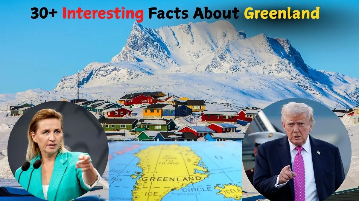 30+ Interesting Facts About Greenland Amid Donald Trump’s Shocking ...
