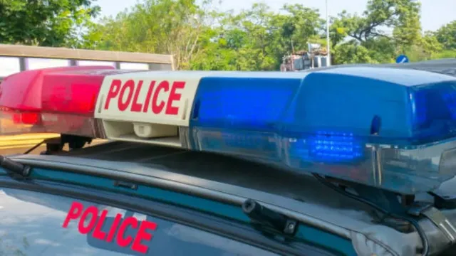 Punjab: Gangster, Accused Of AAP Sarpanch’s Murder, Shot Dead In Police ...