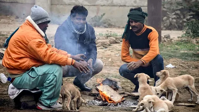 Weather Update: Delhi Records First Cold Day Of 2026; Cold Wave, Fog ...