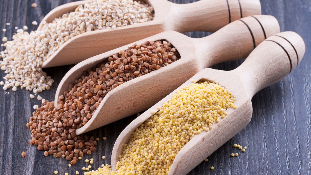 Top 10 Largest Bajra (Millet) Producing States In India 2026: Rajasthan ...