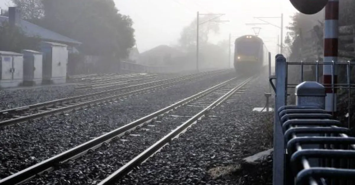 Train Delayed Today: Dense Fog Disrupts Rail Traffic In North India ...