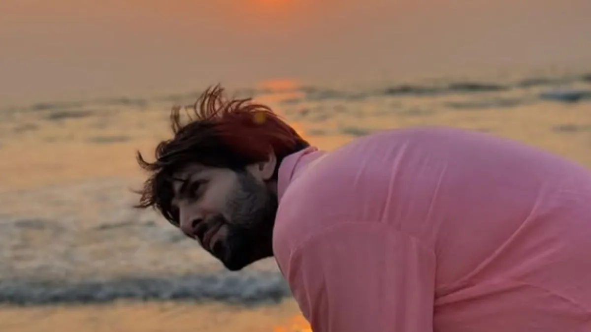 Kartik Aaryan, Karina Kubiliute Stayed At Same Hotel In Goa | Report