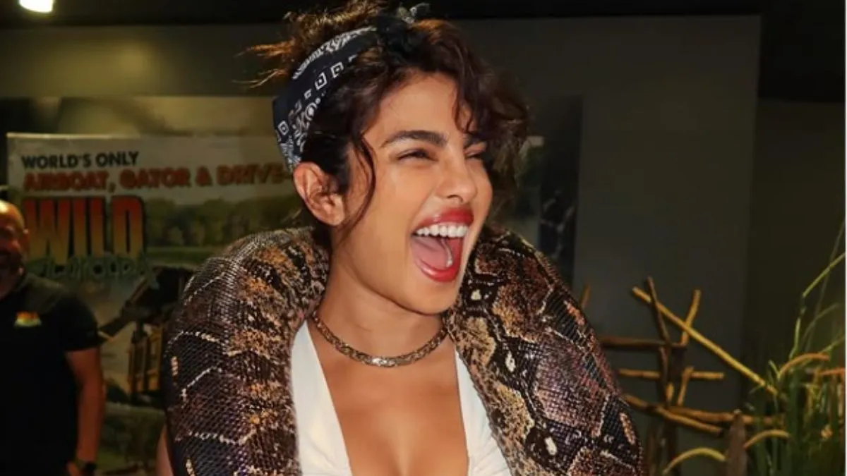 Priyanka Chopra Jonas Emerges As Top Choice To Play Rita Repulsa In ...