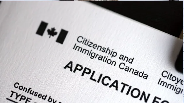 'Next Bullet Will Be For You': Indian Immigration Consultants In Canada ...