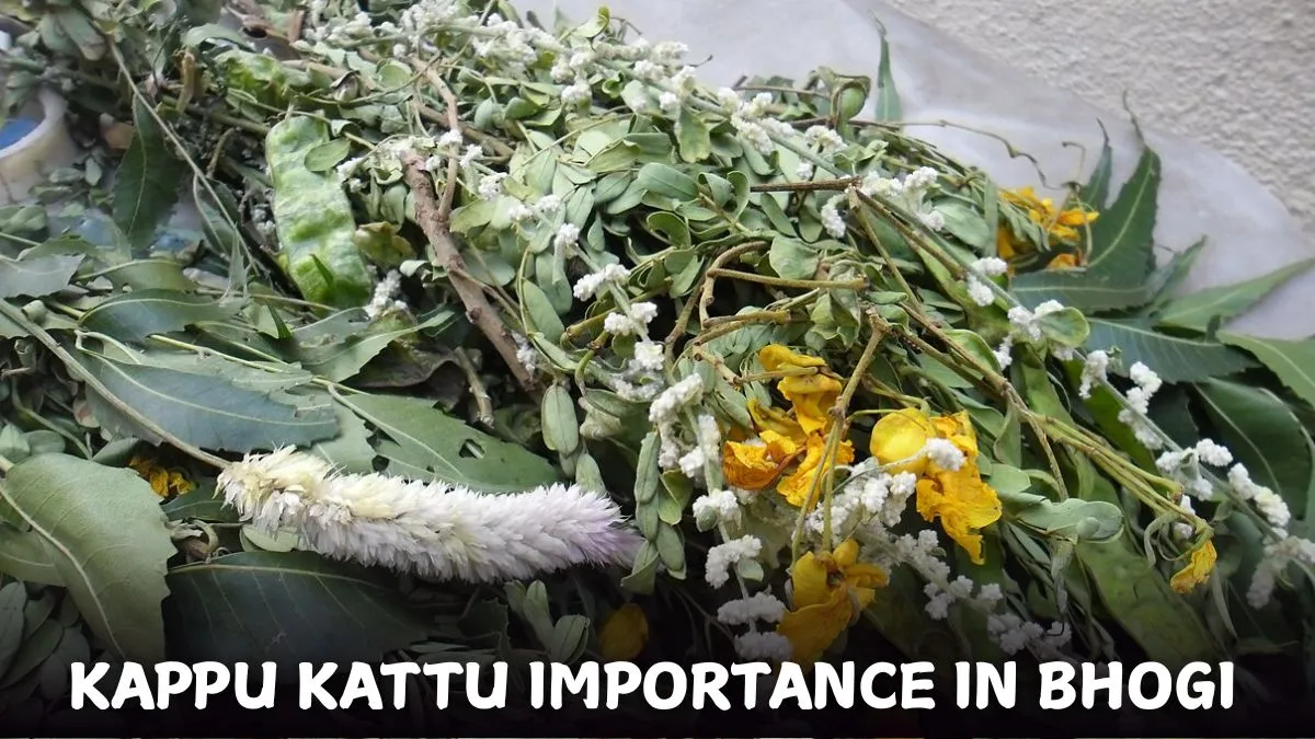 Bhogi 2026: What Is The Significance Of Tying Kappu Kattu Or Neem ...