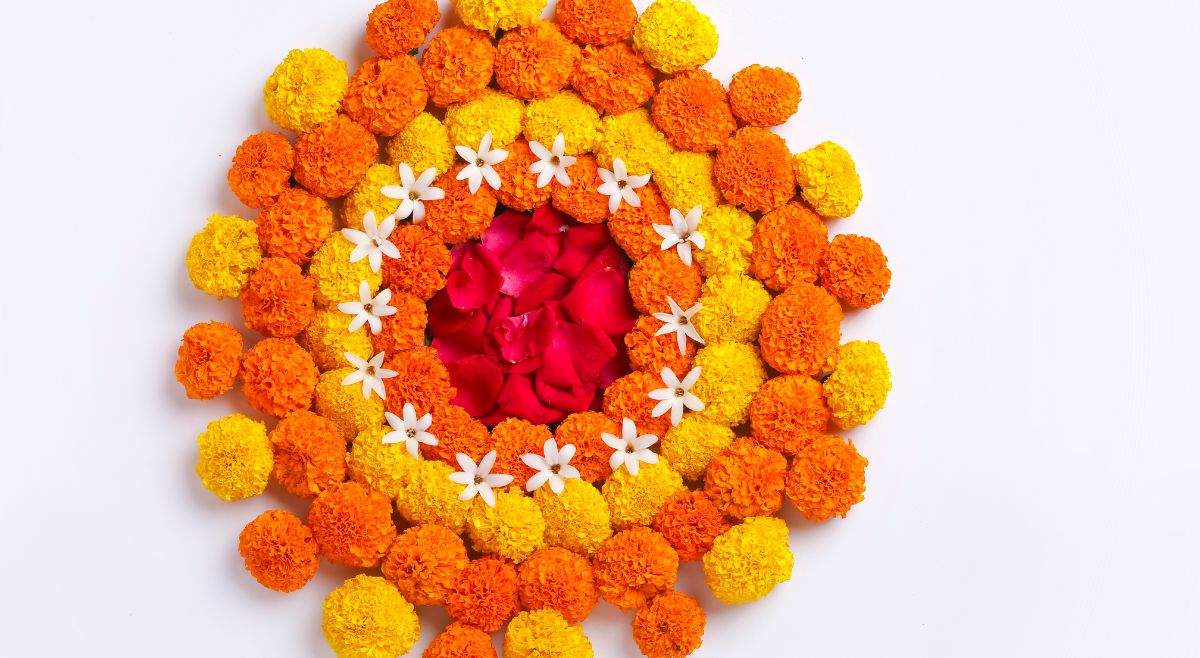 7 Beautiful Rangoli Designs For Pongal To Welcome Prosperity And Joy
