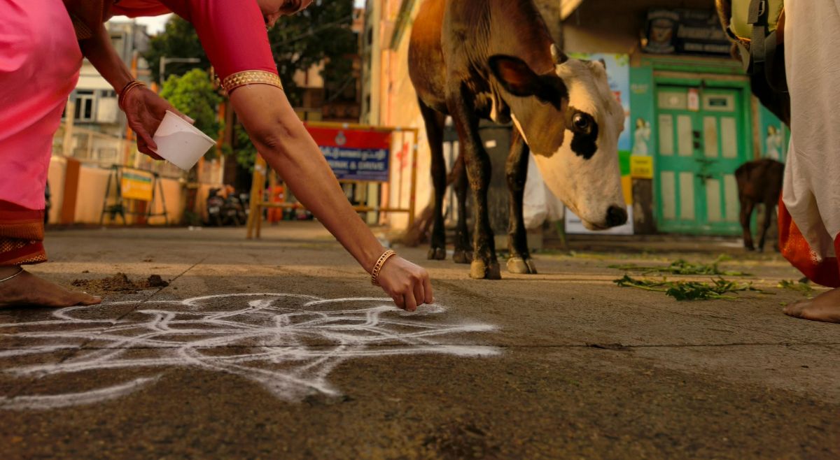 7 Beautiful Rangoli Designs For Pongal To Welcome Prosperity And Joy