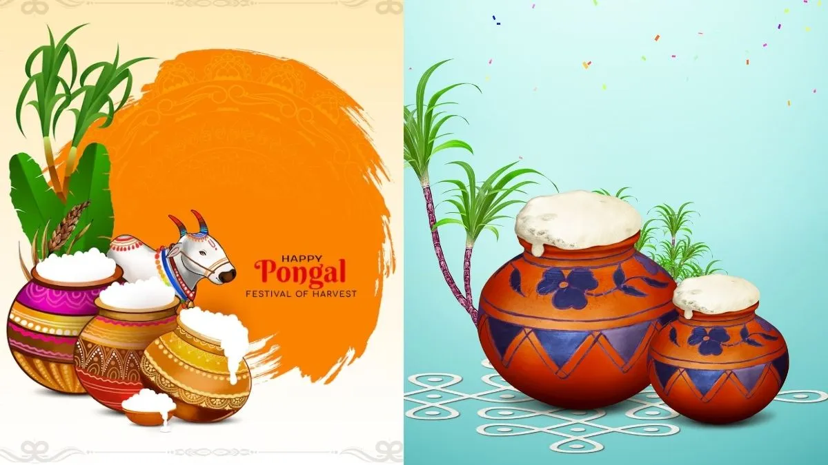 Happy Pongal 2026 Video Status: Short Videos To Share Wishes On ...