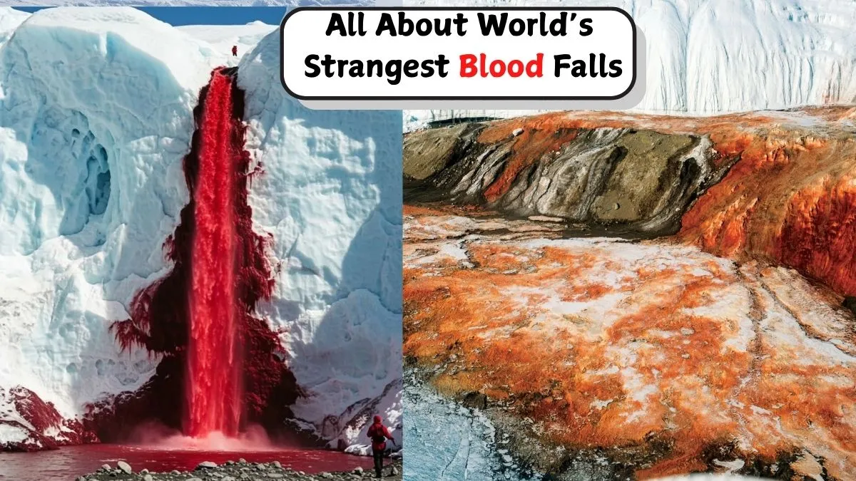 Which Is World’s Strangest Waterfall That Looks Like Blood Falls? Know ...