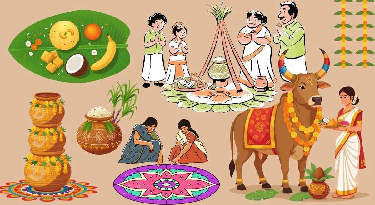 20 Best Instagram Caption Ideas To Post On Your Pongal Pictures