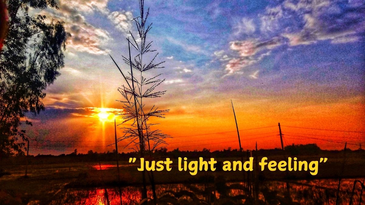 50+ Aesthetic Instagram Captions For Sun Soaked Pictures