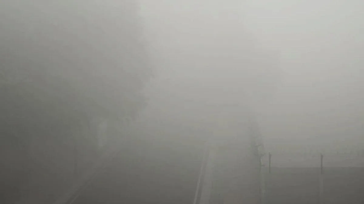 Gurugram Shivers At 3°C: Dense Fog Reduces Visibility To Less Than 50 ...