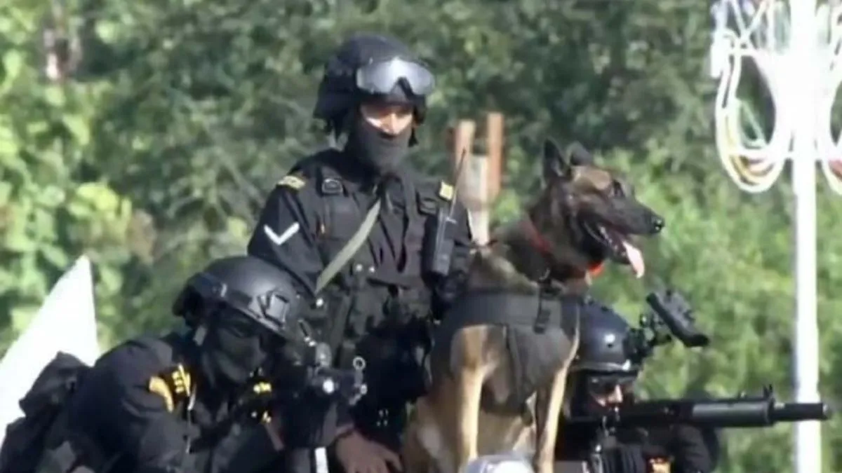 Republic Day Parade: What Is The K9 Unit Of Indian Army; Know About ...