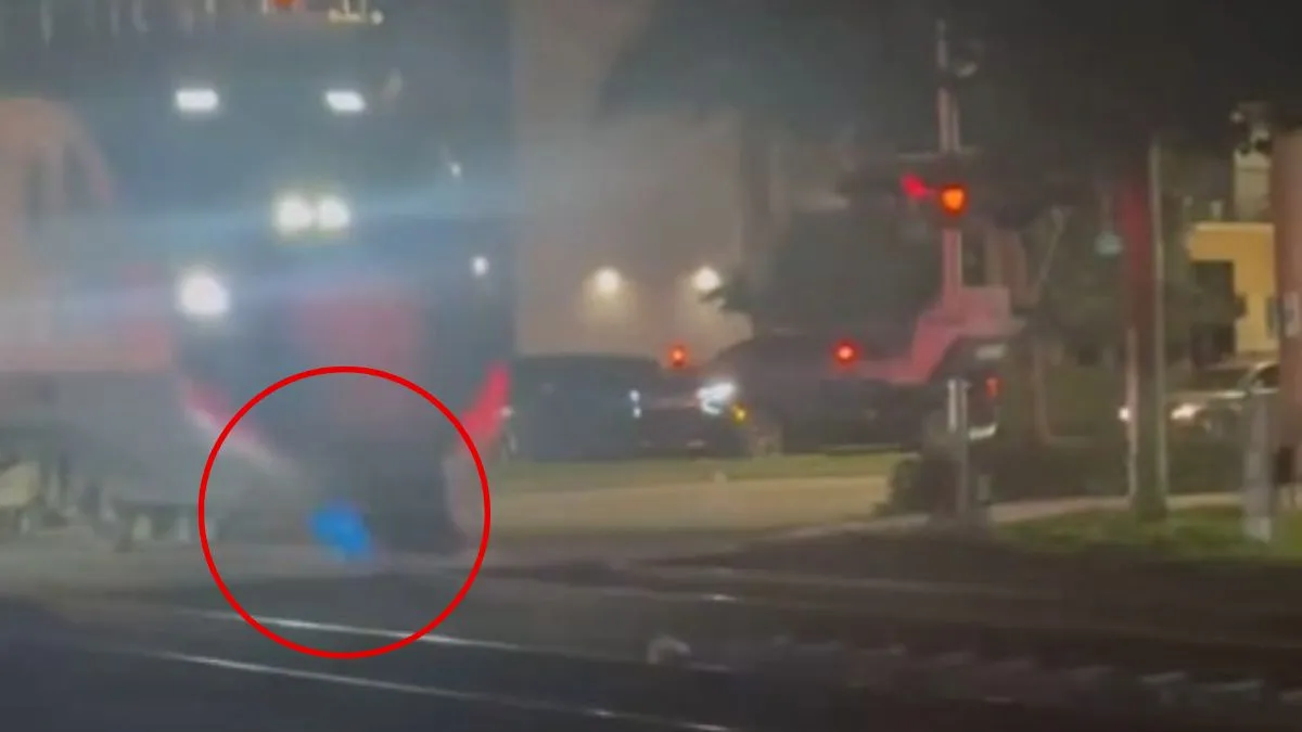 Caught On Cam: Food Delivery Robot Crushed By Train On Miami Tracks ...