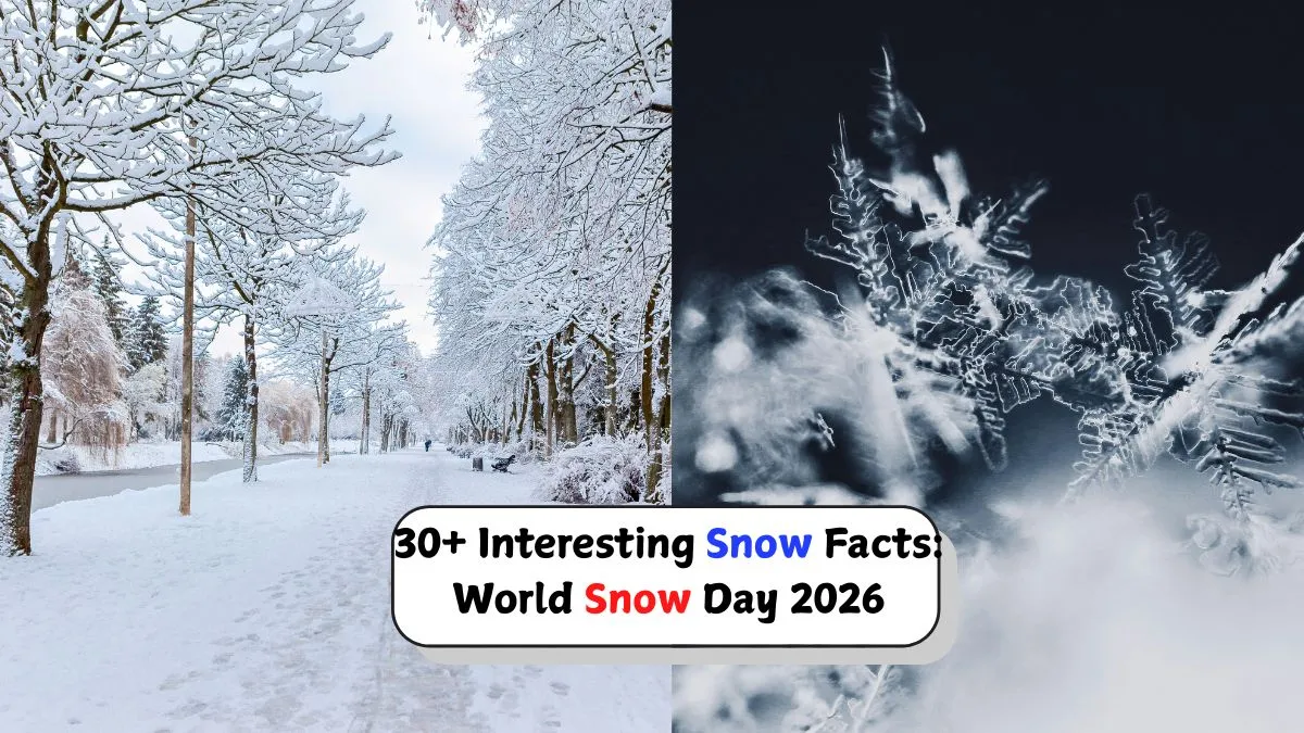 30+ Interesting Snow Facts You Must Know| World Snow Day 2026