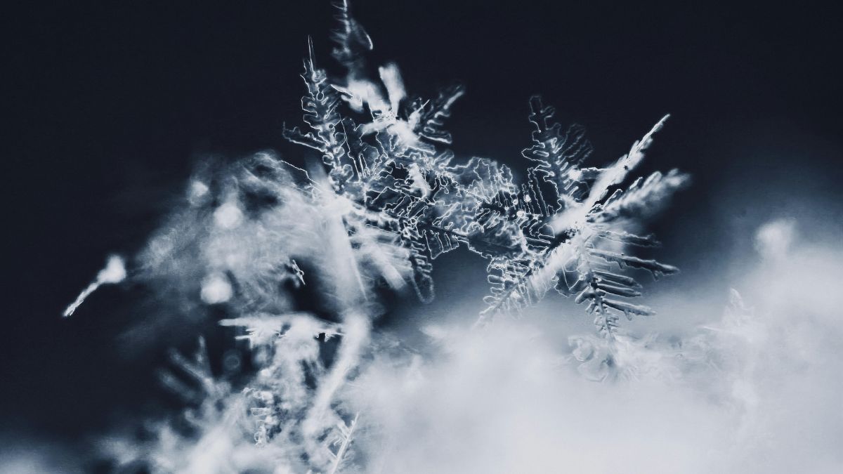 30+ Interesting Snow Facts You Must Know| World Snow Day 2026