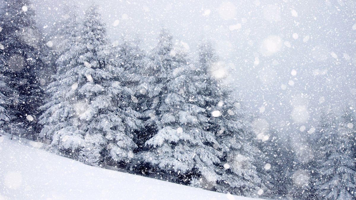 30+ Interesting Snow Facts You Must Know| World Snow Day 2026