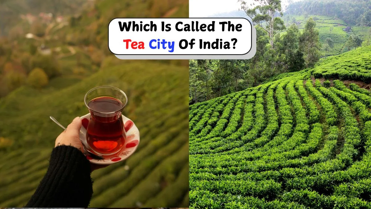 Which Is Called The Tea City Of India? Name, Location And Interesting ...