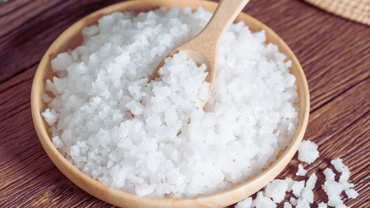 Why You Should Keep A Sea-Salt Bowl In Your Bathroom? Check Astonishing ...