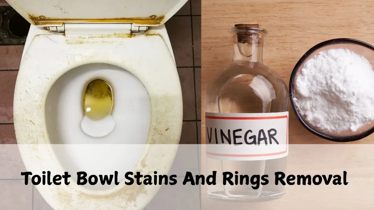 How To Remove Stubborn Toilet Bowl Stains At Home Without Harsh Chemicals?