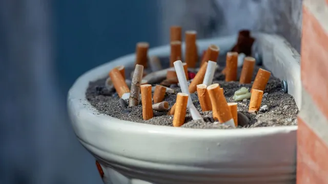 Odisha Bans Tobacco-Nicotine Products Including Gutkha, Pan Masala ...