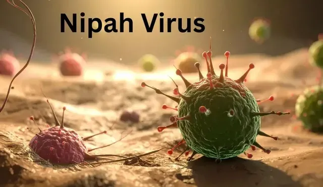 Bengal Witnesses First Nipah Virus Outbreak After 19 Years; Medical ...