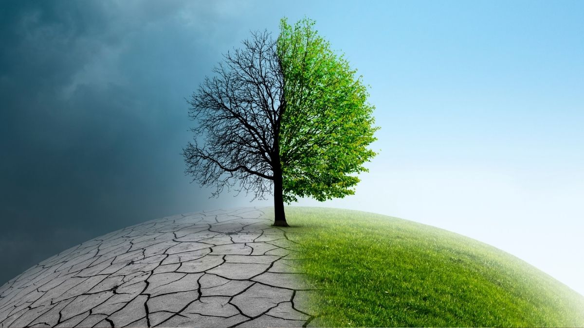 30+ Important Question And Answers About Climate Awareness| World ...