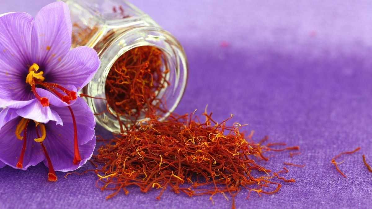 Which Place Produces The Highest Saffron in India? Location And ...