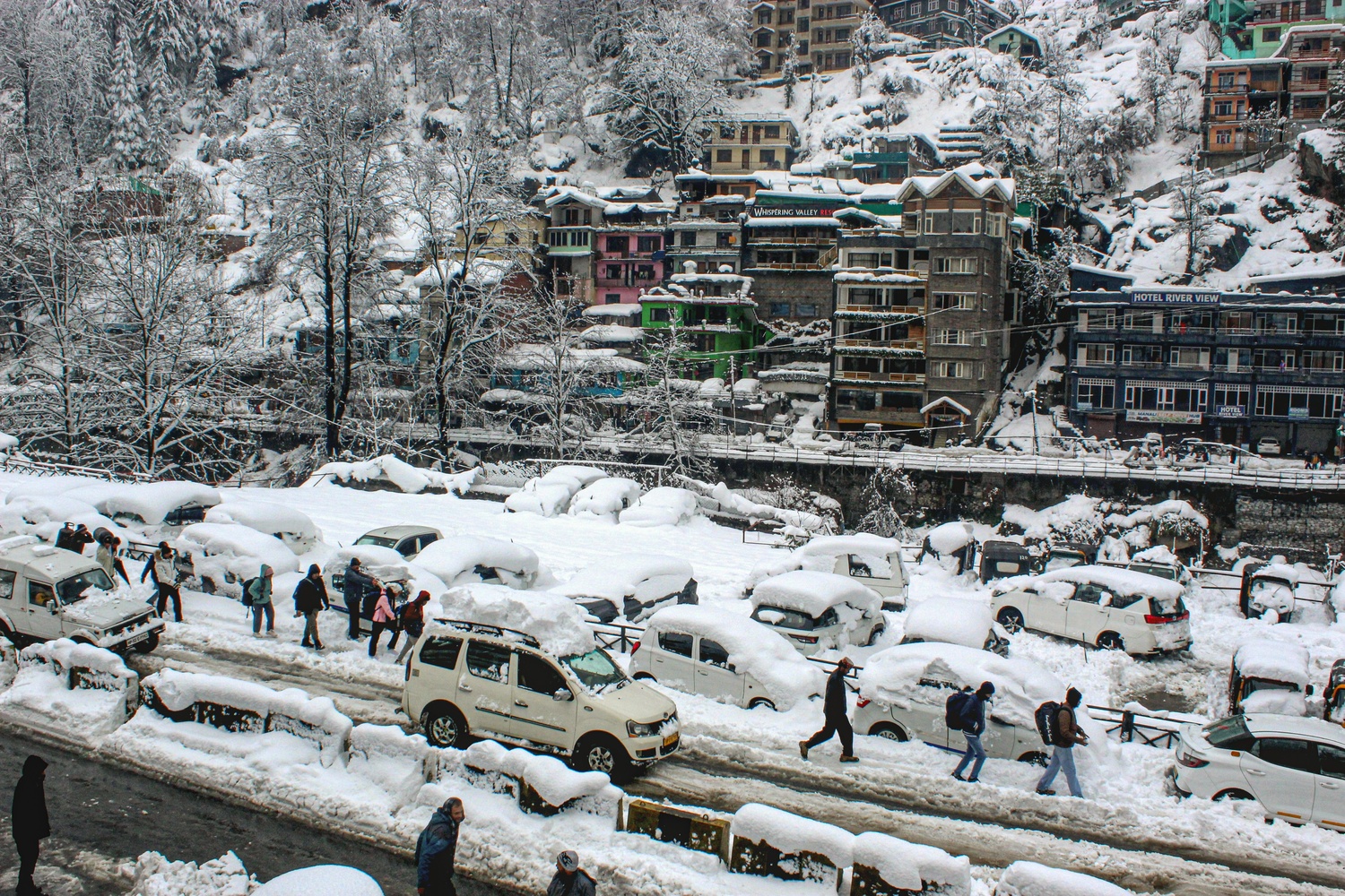 Himachal Snowfall In Photos: Manali, Rohtang Covered In White As Heavy ...