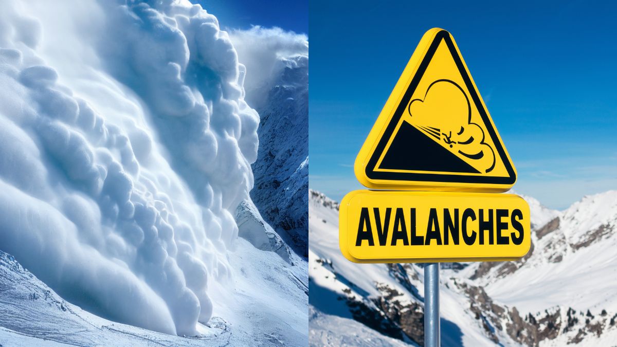 30+ Snow Disaster Terms Explained: Avalanches, Blizzards, Whiteouts And ...