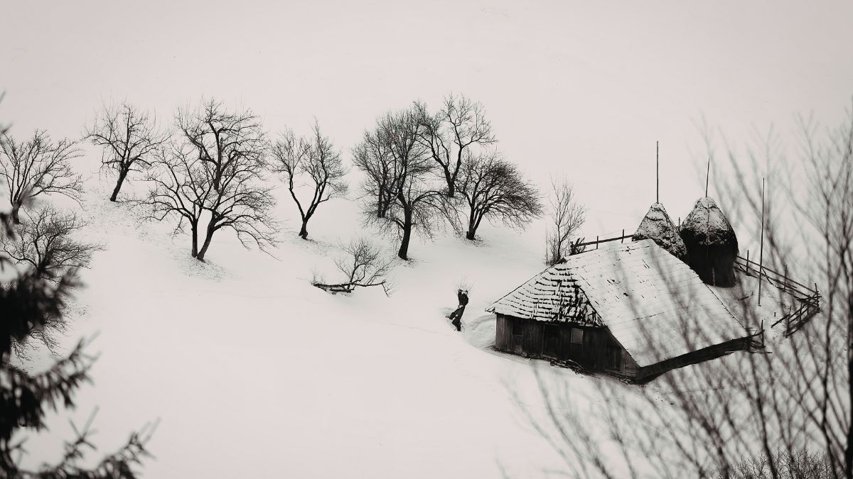 30+ Snow Disaster Terms Explained: Avalanches, Blizzards, Whiteouts And ...