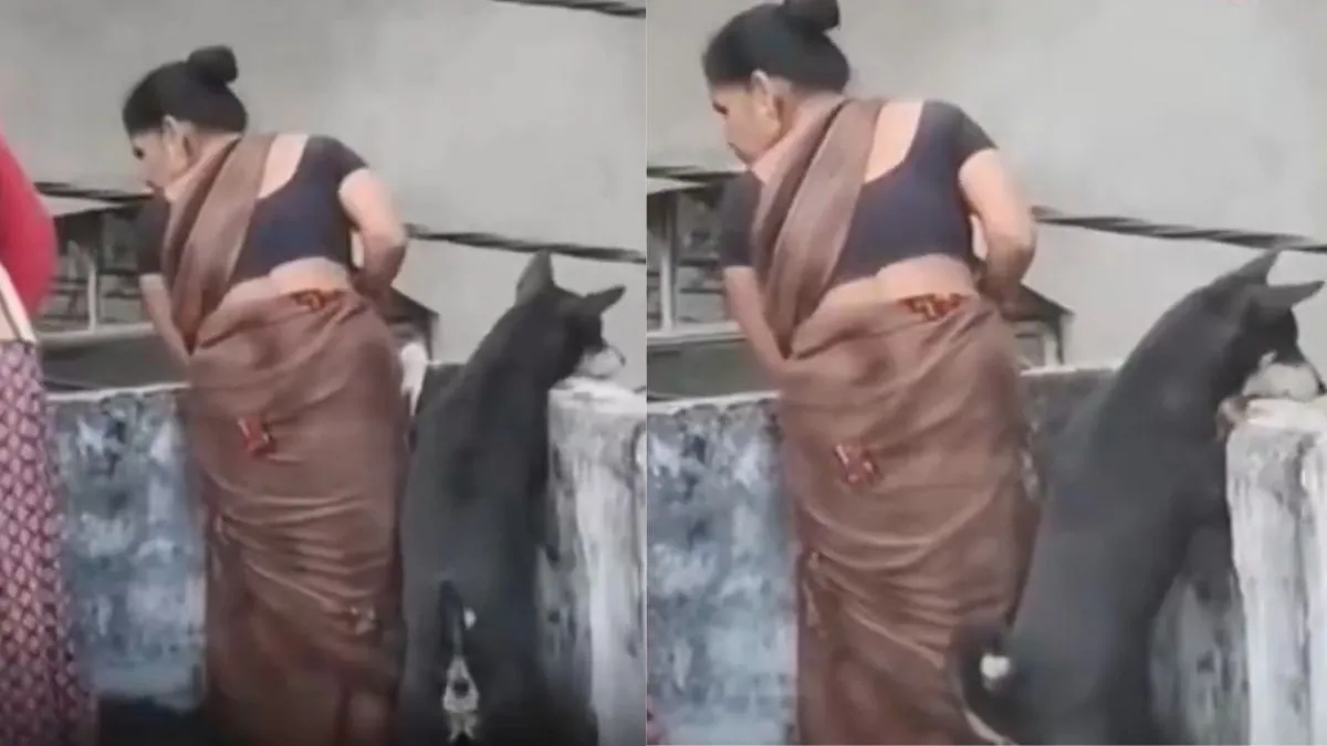 ‘Jaha Kalesh, Waha Dogesh’: Curious Dog Silently Watches Neighbourhood ...