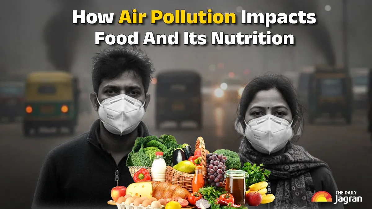 Smog Stories: Not Just Your Lungs, Air Pollution Is Also Poisoning The ...