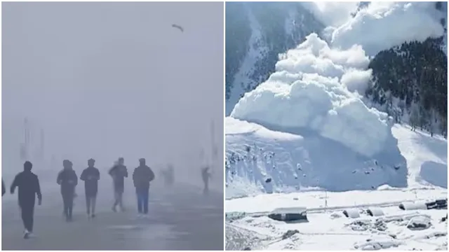 Weather Update: North India Battles Winter As Fog Chokes Delhi-UP ...