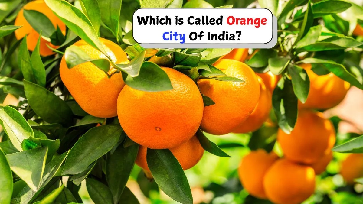 Which Is Known As Orange City Of India? Name, Location And Interesting ...