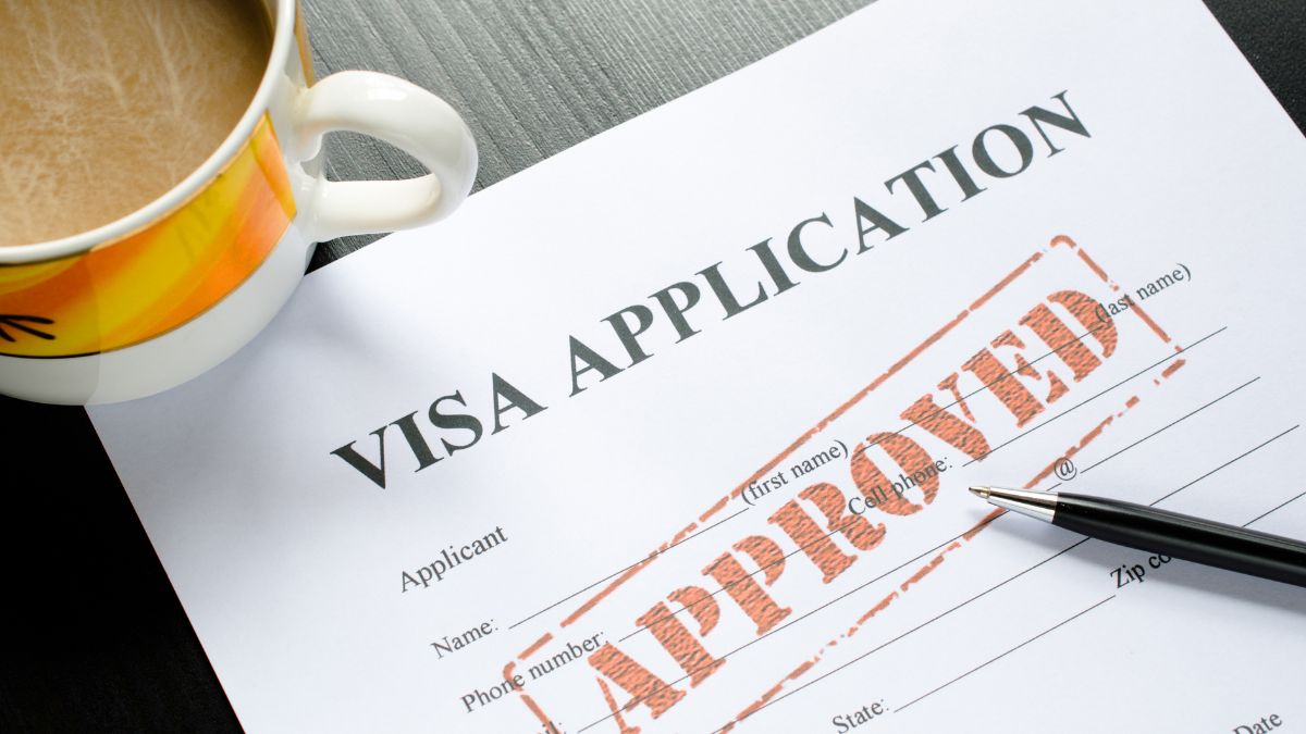 List Of Visa Types Around The World: Categories, Strength And What Each ...