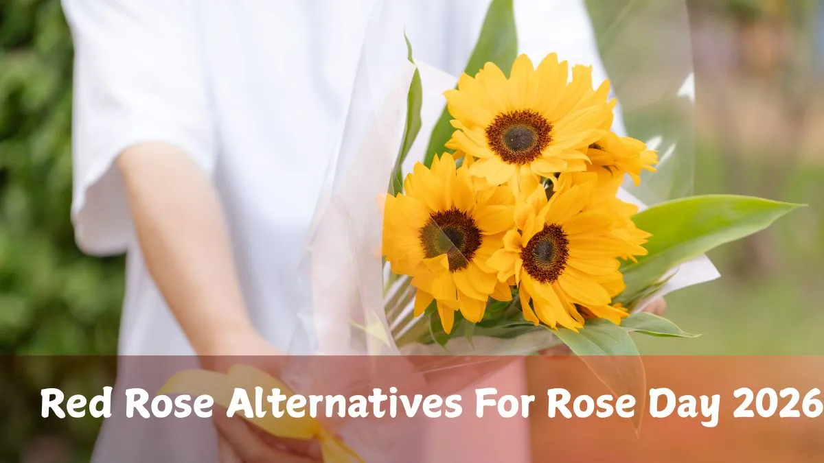 Rose Day 2026: Move Over Red Roses, These Flowers Are The New Language ...