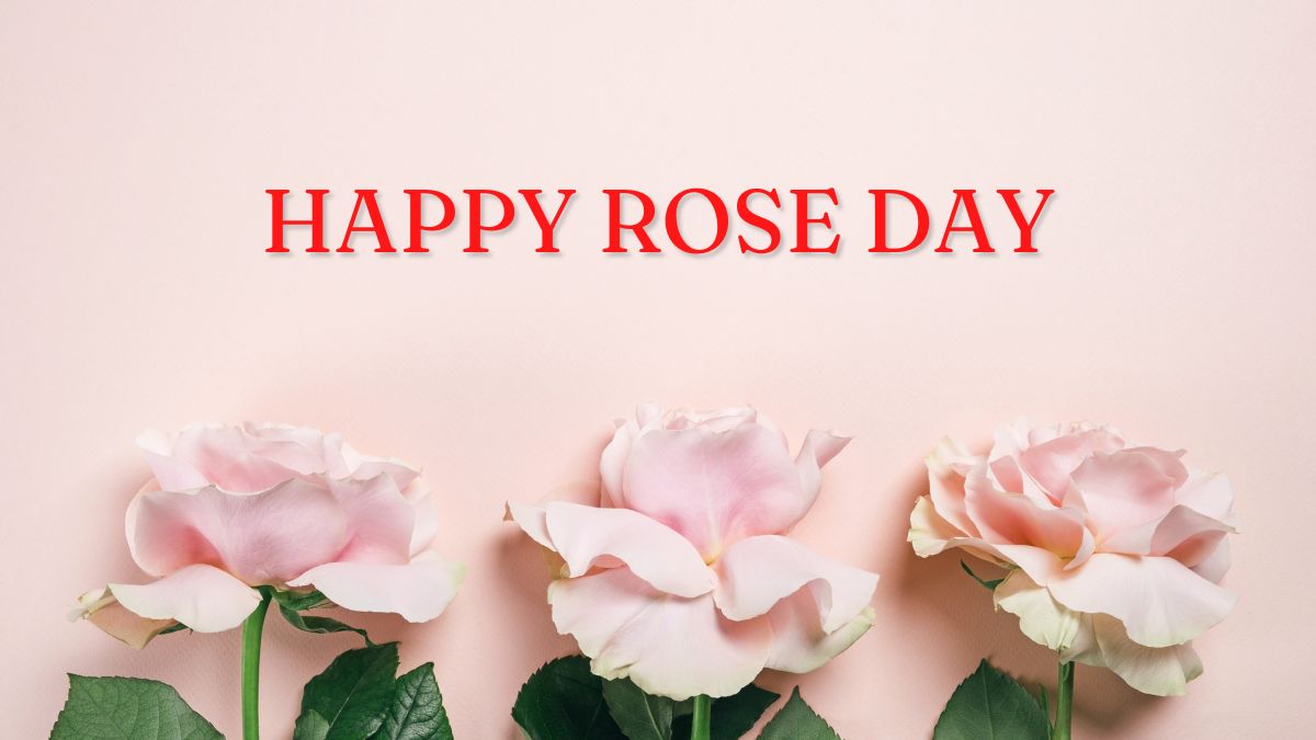Happy Rose Day 2026: Romantic Wishes, Messages And Love Quotes To Share ...