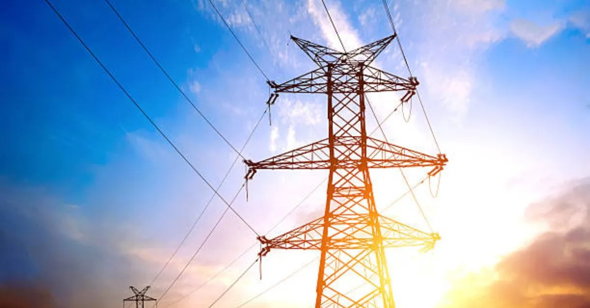 Tamil Nadu Power Cut: TANGEDCO Announces Scheduled Power Outage Across ...