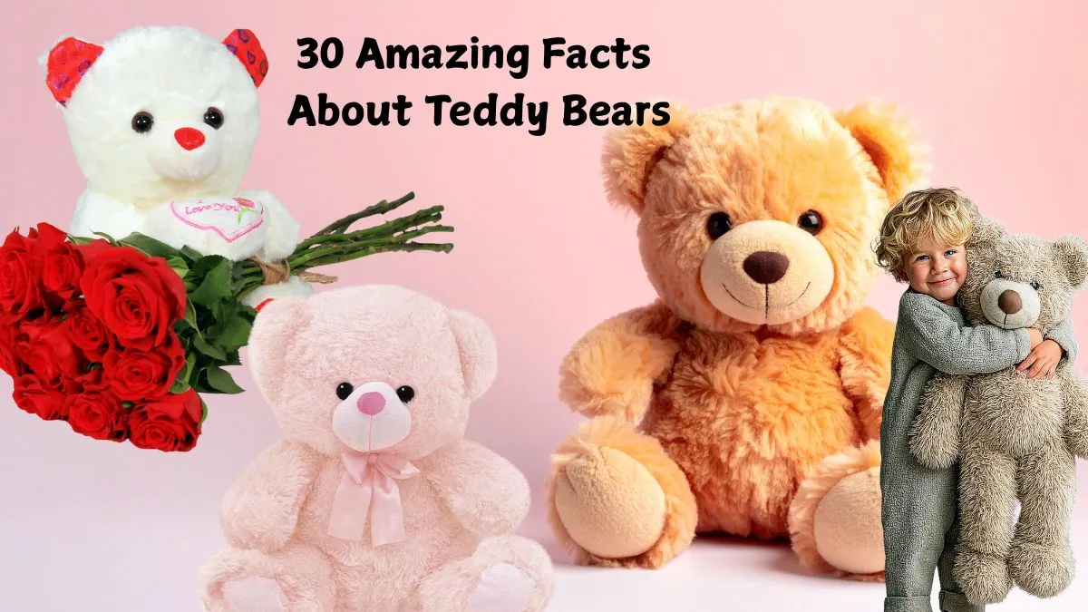 30 Interesting Teddy Bear Facts You Must Know: Invention, History ...