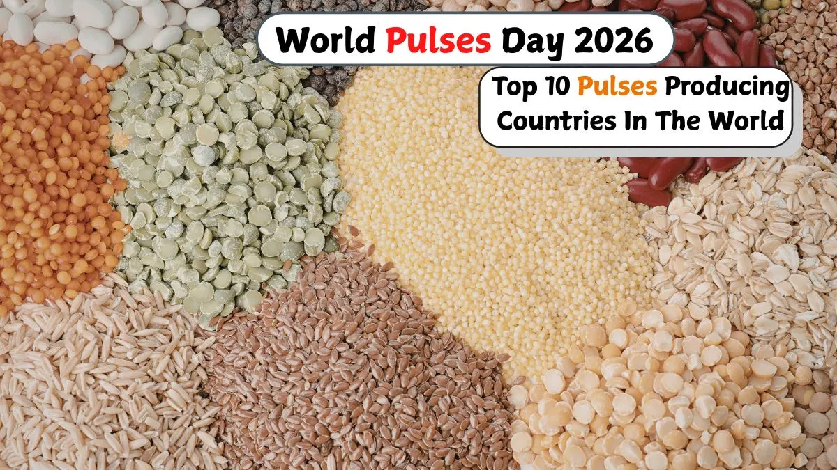 World Pulses Day 2026: Top 10 Pulses Producing Countries In The World ...